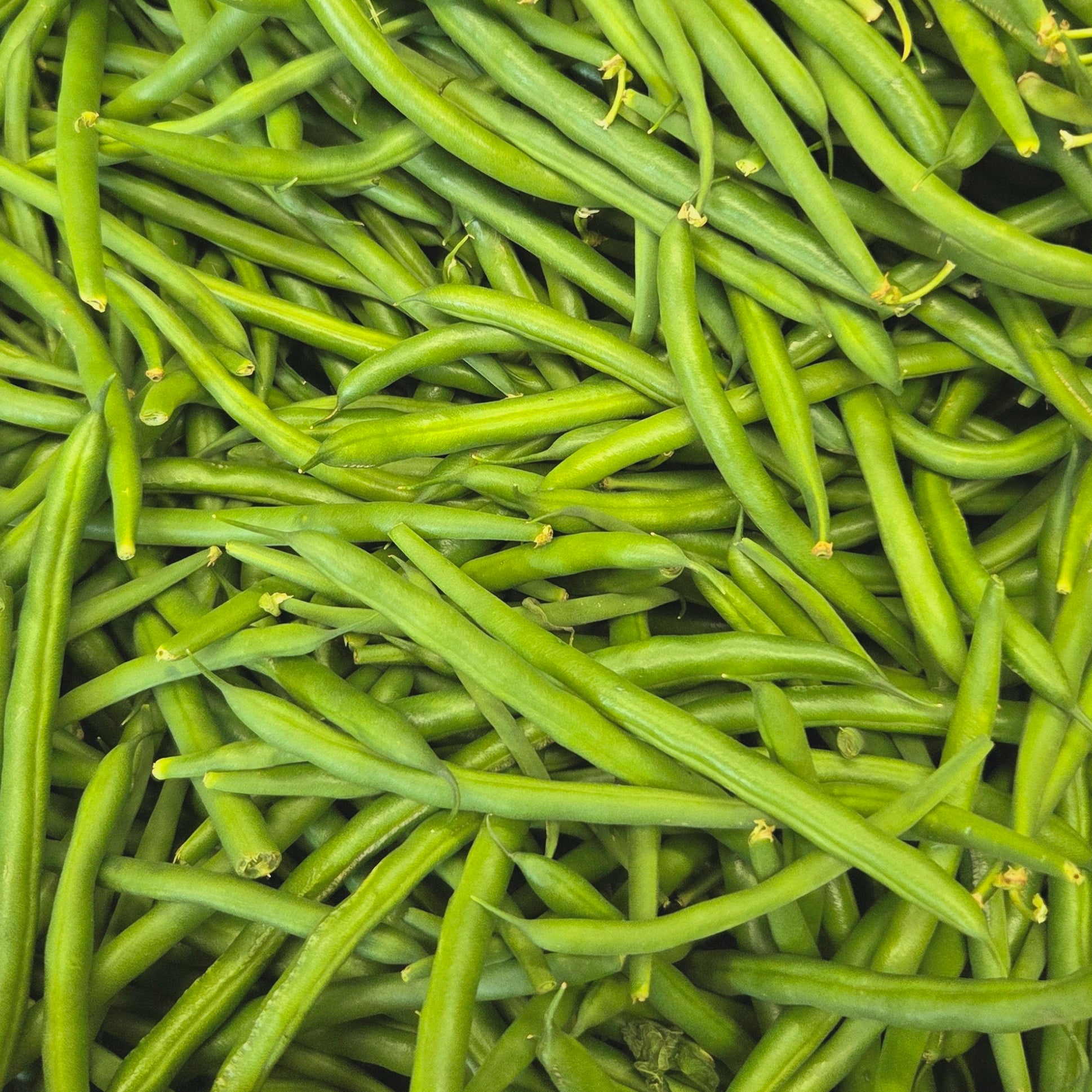 Local Fresh - Green Beans | Wesco Foods